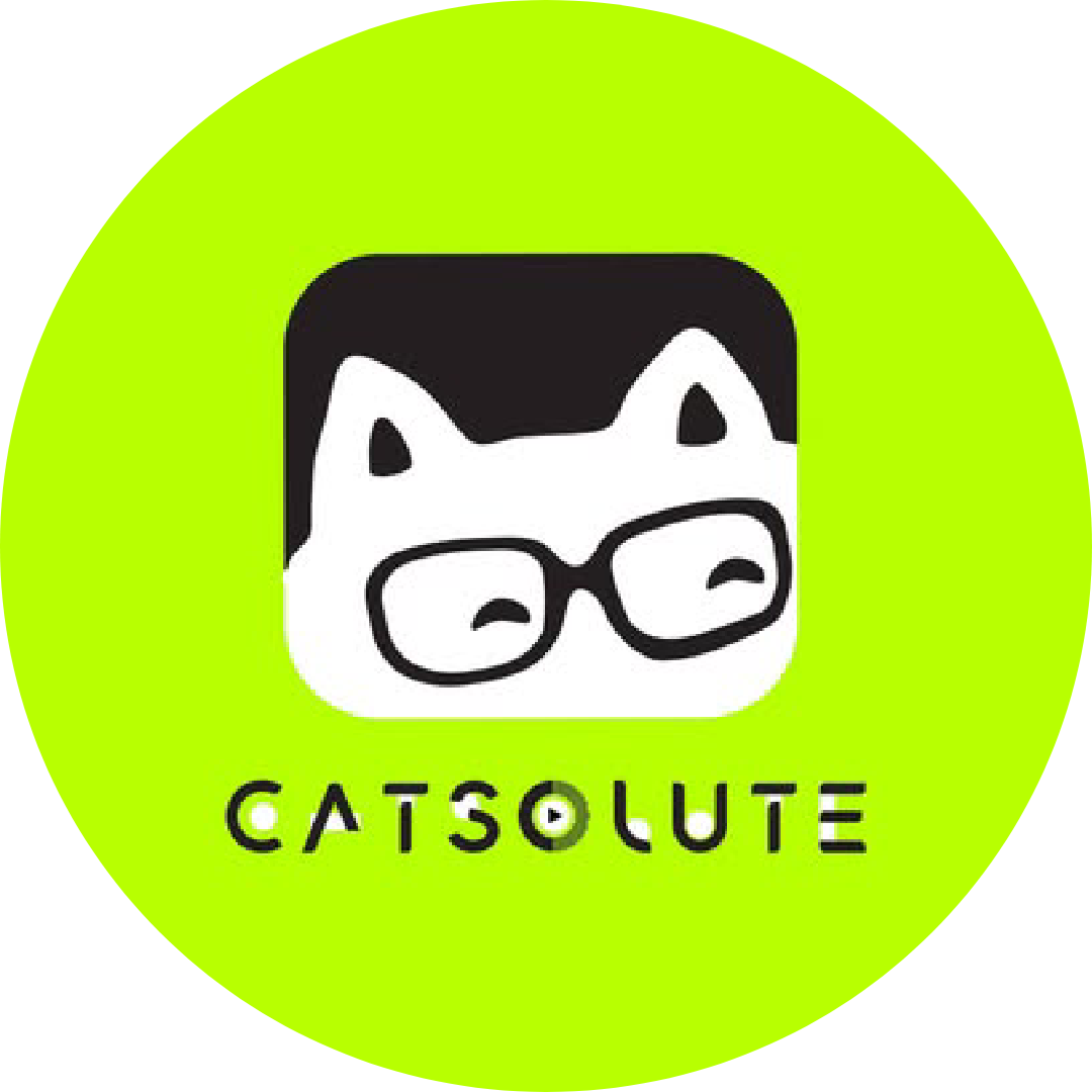 About - Catsolute